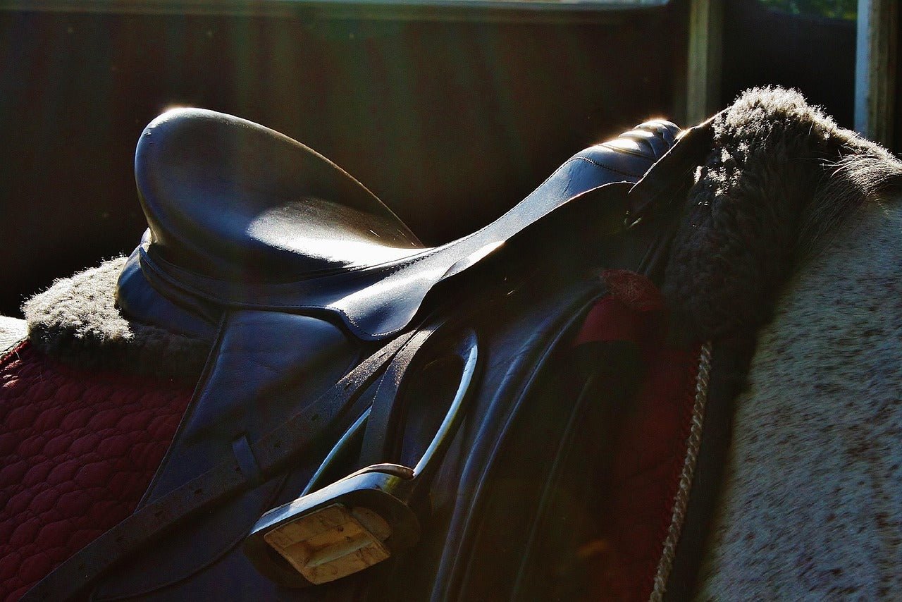 How to Condition Leather Saddles for Everyday Use – Pecard Leather Care ...